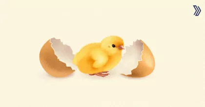 Flock Uniformity Its Importance Livine